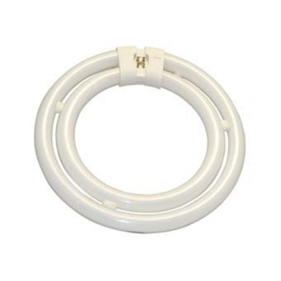 GREEN LIGHTING Light Bulb – Technical Precision